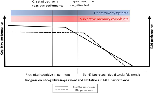Subjective Memory Complaints Predict Decline in Memory, Instrumental ...